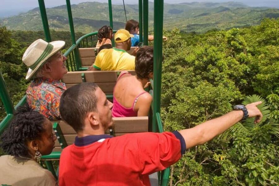 St. Lucia: Zip Line, Aerial Tram, and Hiking Tour - Why This Tour Works for Travelers