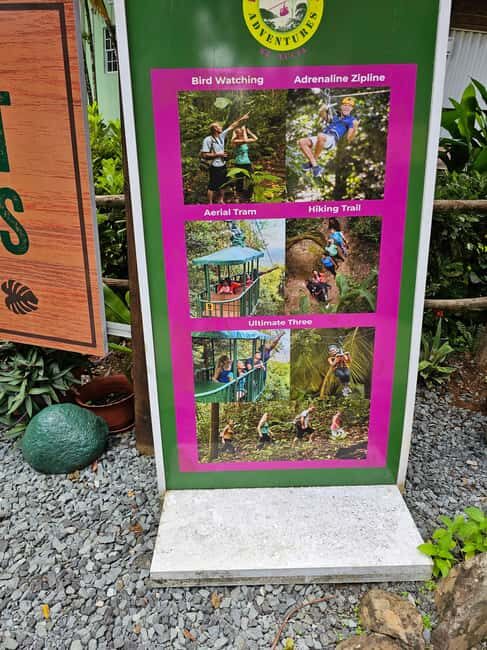 St. Lucia: Zipline Adventure Cruise Port and Hotel Pickup - A Detailed Breakdown of the Experience