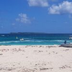 St.Maarten Beach Hopping Tour - The Itinerary: What to Expect at Each Stop