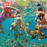 St.Maarten Nature, Hike & Snorkeling - Snorkeling in Tropical Waters: Marine Marvels