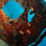 St Maarten Scuba Diving for Certified Divers - The Sum Up