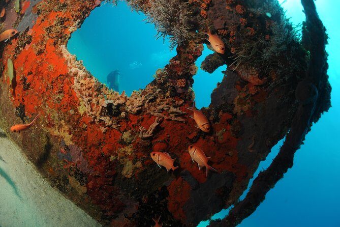 St Maarten Scuba Diving for Certified Divers - The Sum Up