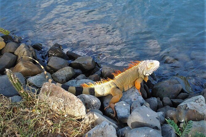 St.Maarten St.Martin Best Prime Tour - A Detailed Breakdown of the Itinerary