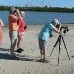 St.Martin - St.Maarten: Small Group, Birding Tour / Bird Watching Tour - What You Will See and Learn