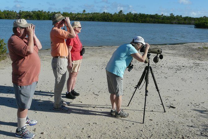 St.Martin - St.Maarten: Small Group, Birding Tour / Bird Watching Tour - What You Will See and Learn
