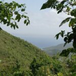 St.Martin - St. Maarten: Small Group, Coastal Hike & Swim Tour - An In-Depth Look at the Experience