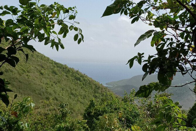 St.Martin - St. Maarten: Small Group, Coastal Hike & Swim Tour - An In-Depth Look at the Experience