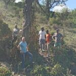 St.Martin - St.Maarten: Small Group, Cultural Heritage Tour - Who Will Love This Experience?