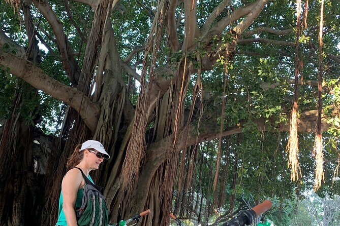 St Pete Ebike Tour with Lunch - The Sum Up: Is This Tour Right for You?