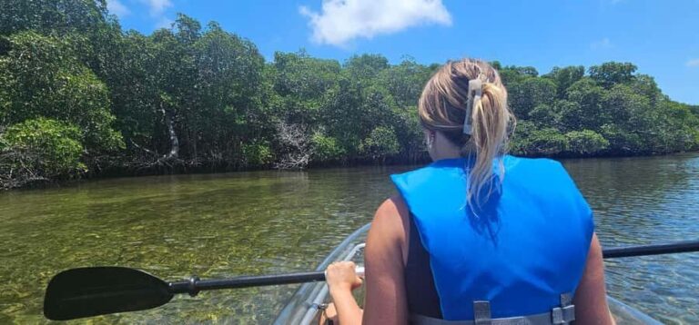St. Petersburg: Clam Bayou Nature Preserve Clear Kayak Tour - Why This Tour Works for Different Travelers