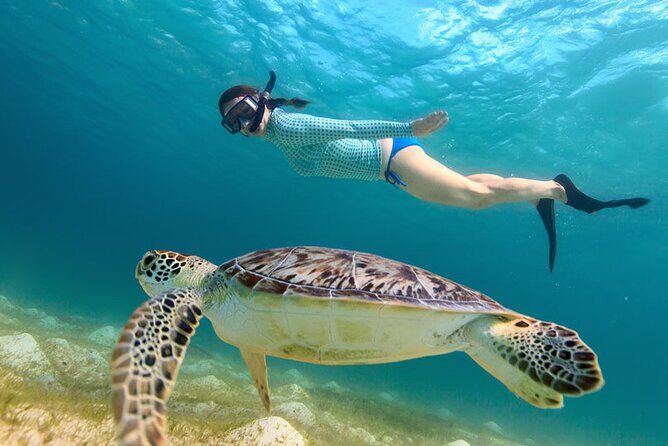 St. Thomas Maho Bay Turtle Snorkel Sail - Ritz-Carlton - The Final Word: Who Should Consider This Tour?