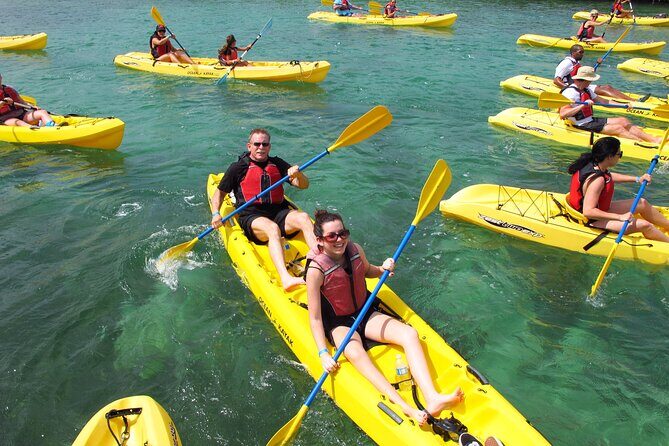 St Thomas Shore Excursion: Mangrove Lagoon Kayak and Snorkel Tour - Final Thoughts