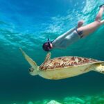 St Thomas~St John Snorkel, Swim & Beach Trip on MV Island Flyer - What’s Included and What’s Not