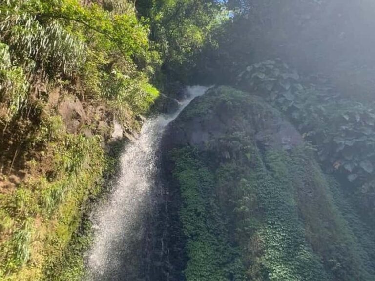 St. Vincent: Dark View Falls Tour - What You Can Expect from the Tour