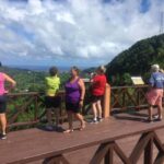 St. Vincent: La Soufriere Hike with Optional Villa Beach - Who Will Love This Tour?