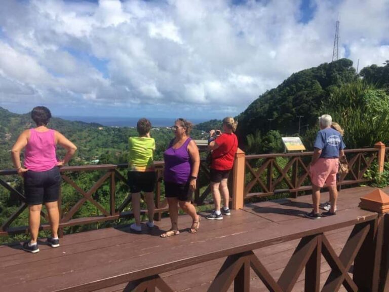 St. Vincent: La Soufriere Hike with Optional Villa Beach - Who Will Love This Tour?