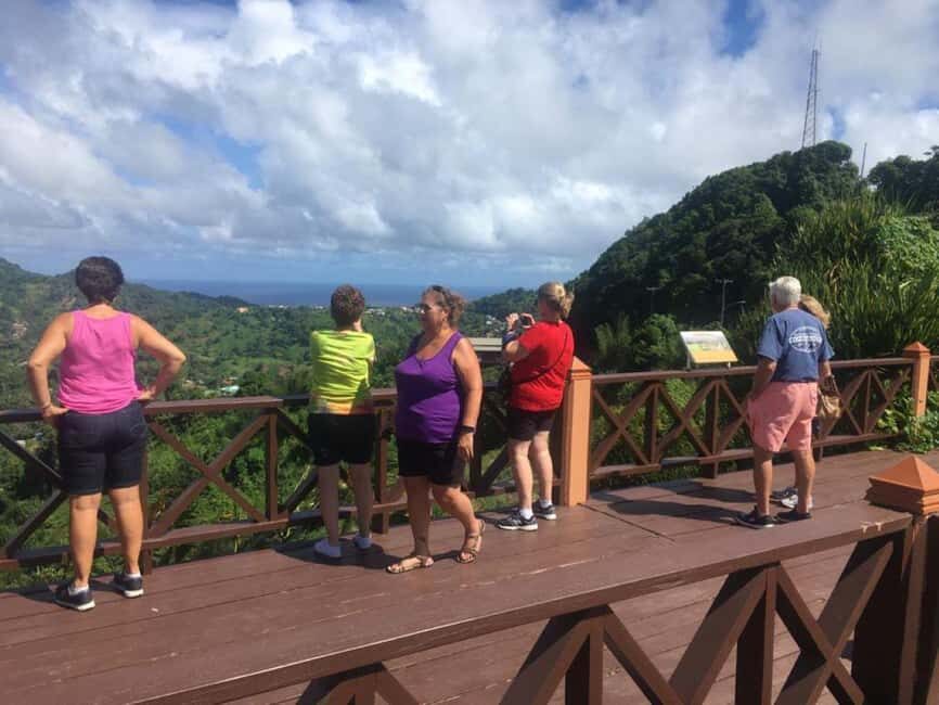 St. Vincent: La Soufriere Hike with Optional Villa Beach - Who Will Love This Tour?