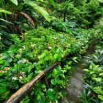 St. Vincent: Vermont Nature Trail - Why This Tour Is a Good Fit