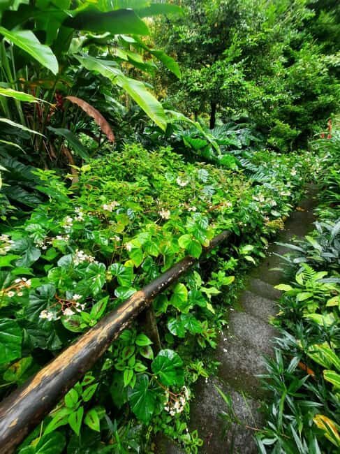 St. Vincent: Vermont Nature Trail - Why This Tour Is a Good Fit