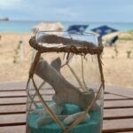 Stades Rum Distillery Tour - Practical Details and Logistics