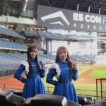 Stadium Tour at Hokkaido Ballpark F Village with Interpreter - The Itinerary: What You’ll See and Experience