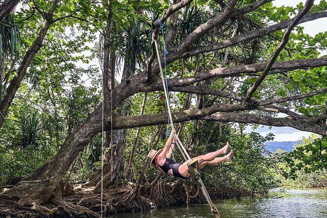 Stand Up Paddle Boarding Adventure in Windward Oahu - Transportation and Convenience