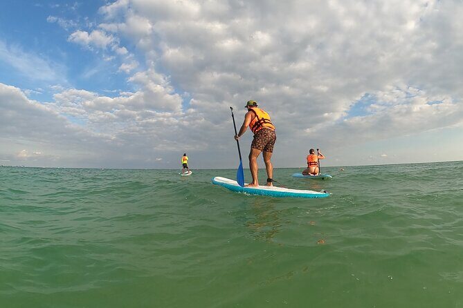 Stand Up Paddle Tour in Tulum - The Natural Environment and Views