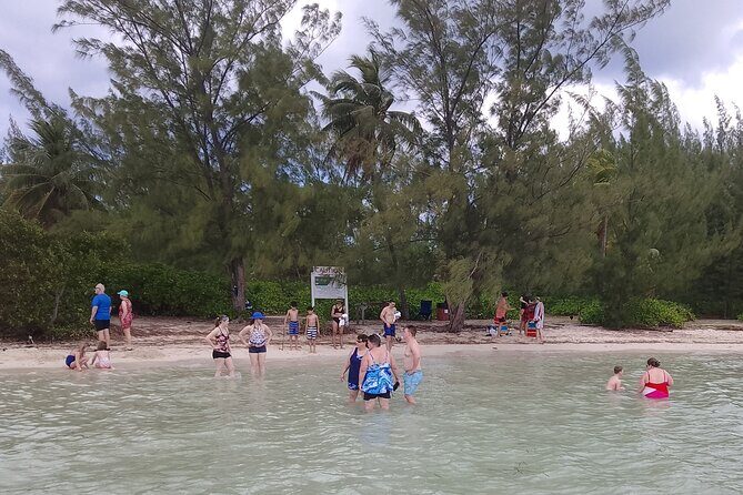 Starfish Encounter & Mangrove Exploration in Grand Cayman - The Balance and Value