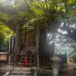 Step into Old Japan  Izushi Samurai Town Tour - Who Should Consider This Tour?
