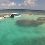 Stingray City - The Review Insights: Authentic Experiences and Real Concerns