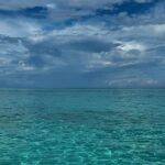 Stingray City and Snorkeling Private Charter - Equipment and Inclusions – What’s Covered?