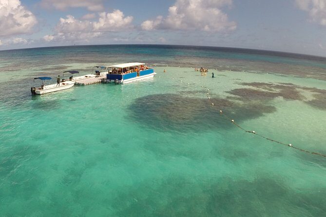 Stingray City - The Review Insights: Authentic Experiences and Real Concerns