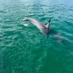 Stock Island Booze Cruise - Practical Details and What to Expect