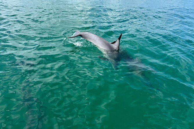 Stock Island Booze Cruise - Practical Details and What to Expect