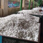 Story of Mysore Silk tour from Bangalore to experience Silk Weaving & Palace - What to Expect on the Itinerary