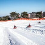 Strawberry Picking, Snow Sledding in Eobi Valley and Sheep Ranch - Practical Tips for Travelers