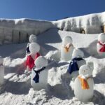 Strawberry Picking+Nami Island+Eobi Valley+Garden Lighting Fest - A Detailed Look at the Tour