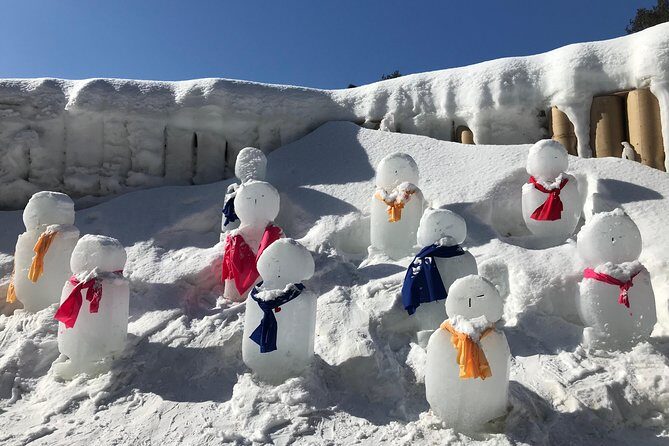 Strawberry Picking+Nami Island+Eobi Valley+Garden Lighting Fest - A Detailed Look at the Tour