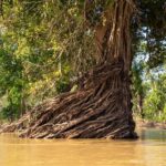 Stung Treng: 3 Nights Mekong River Boat Cruises and Kayaking - Why This Tour Delivers Value