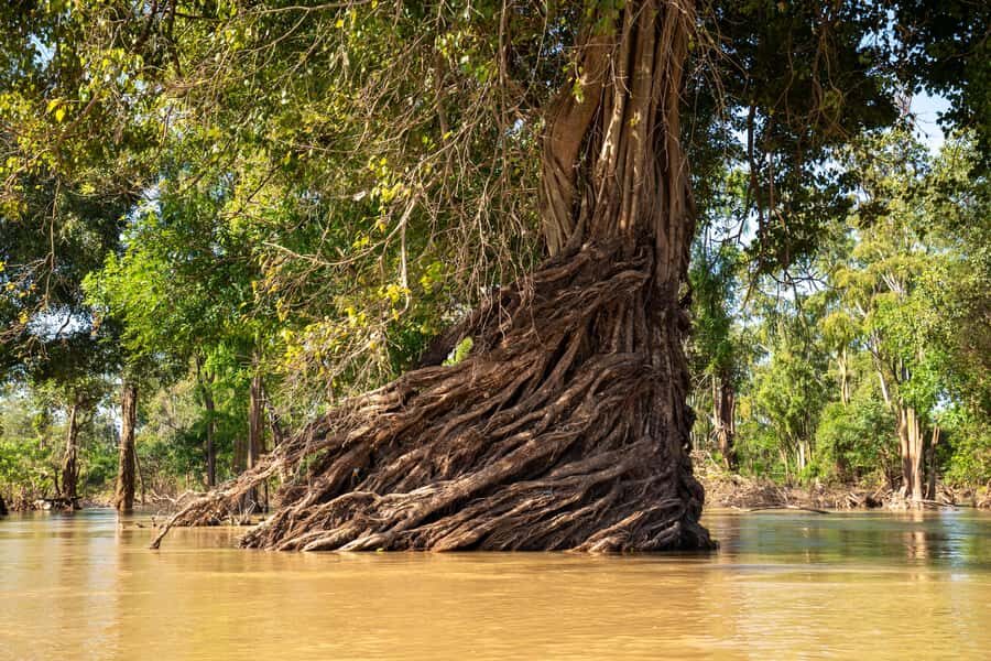Stung Treng: 3 Nights Mekong River Boat Cruises and Kayaking - Why This Tour Delivers Value