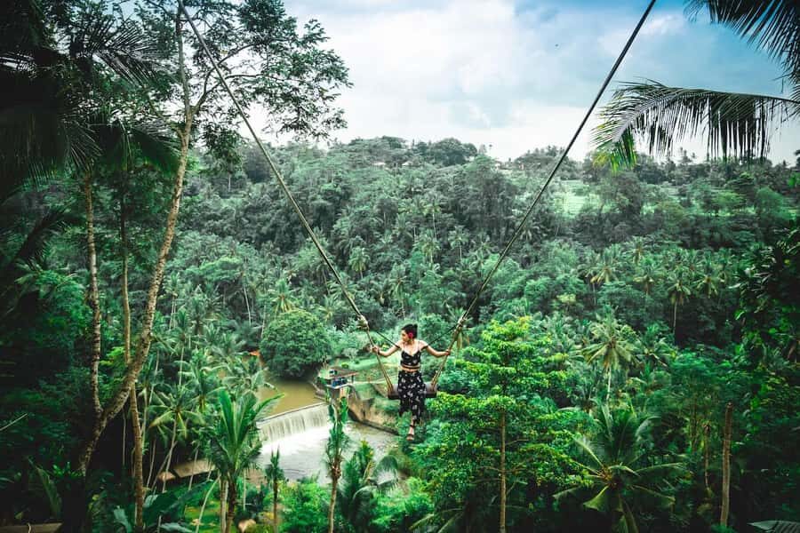 Stunning Bali Waterfall Tour and Experience a Jungle Swing - A Deep Dive into the Itinerary