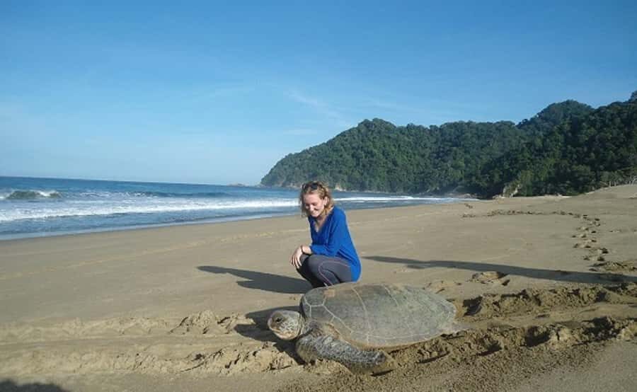 Sukamade: A Private Tour To See Turtle Lay Egg (2D/1N) - Practical Considerations and Value