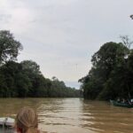 Sukau Rainforest Wildlife and Dawn Cruises Tour in Sandakan - What’s Included and What’s Not