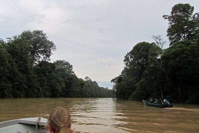 Sukau Rainforest Wildlife and Dawn Cruises Tour in Sandakan - What’s Included and What’s Not