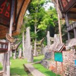 Sulawesi: Toraja Cultural Tour - What To Expect From This Tour