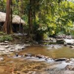 Sumatra : 2-Day Orangutan Trekking and River Tubing Tour - The River Tubing Finale