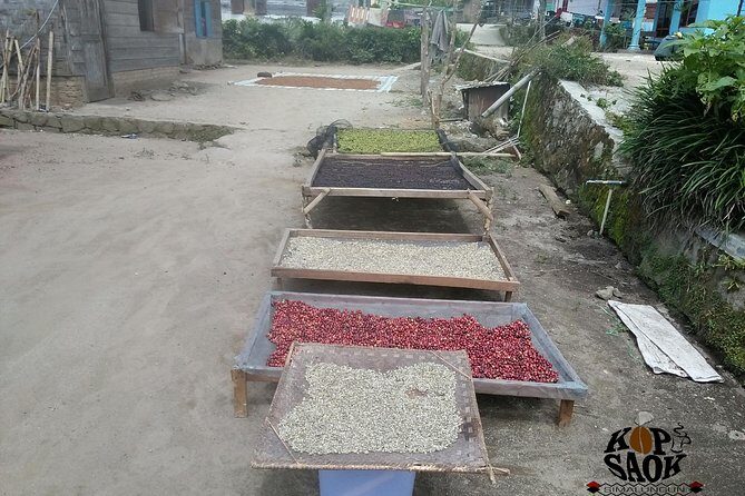 Sumatra Coffee Tour - What We Think About the Tours Value