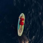 Sumbawa Tour 2 Days 1 Night ( Whale Shark Tour) - What the Tour Means for Travelers