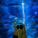 Sumida Aquarium Ticket Tokyo - What Makes Sumida Aquarium Unique?