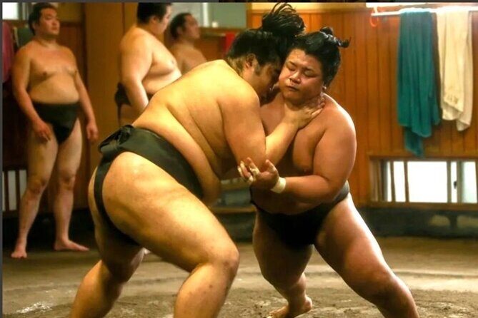Sumo Practice Watch with a Specialist Reporter - What the Tour Entails: A Deep Dive into the Itinerary